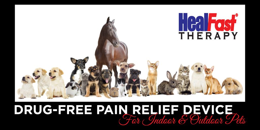 HealFast® – BioElectronics Corporation